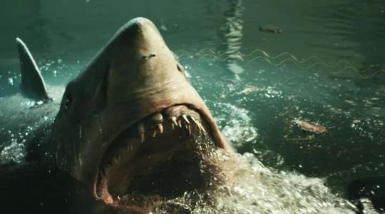 Is ‘Bait 3D’ an underrated Shark thriller? – Bloody Flicks