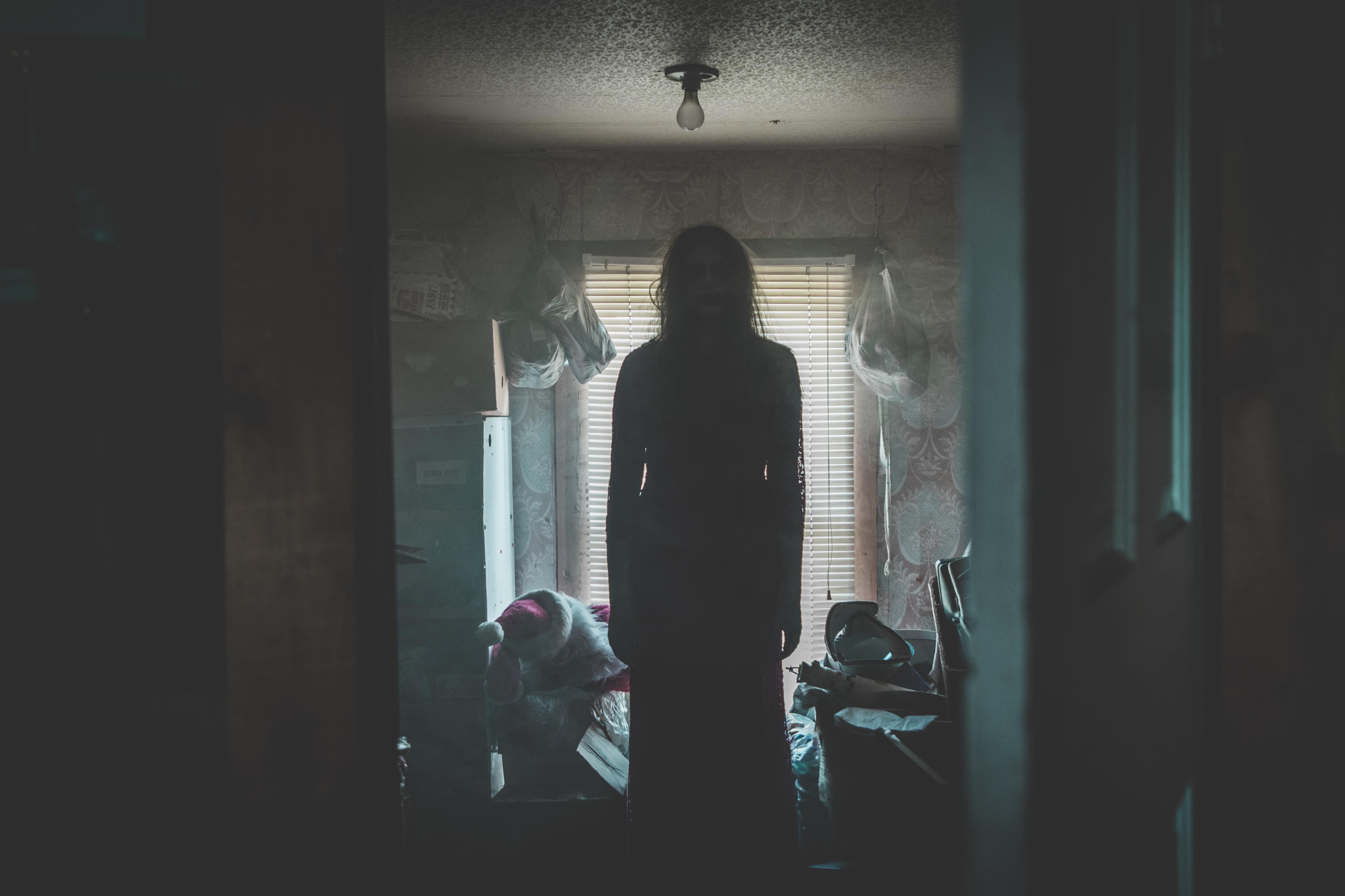 ‘The Pale Faced Lady’ short horror now available – Bloody Flicks