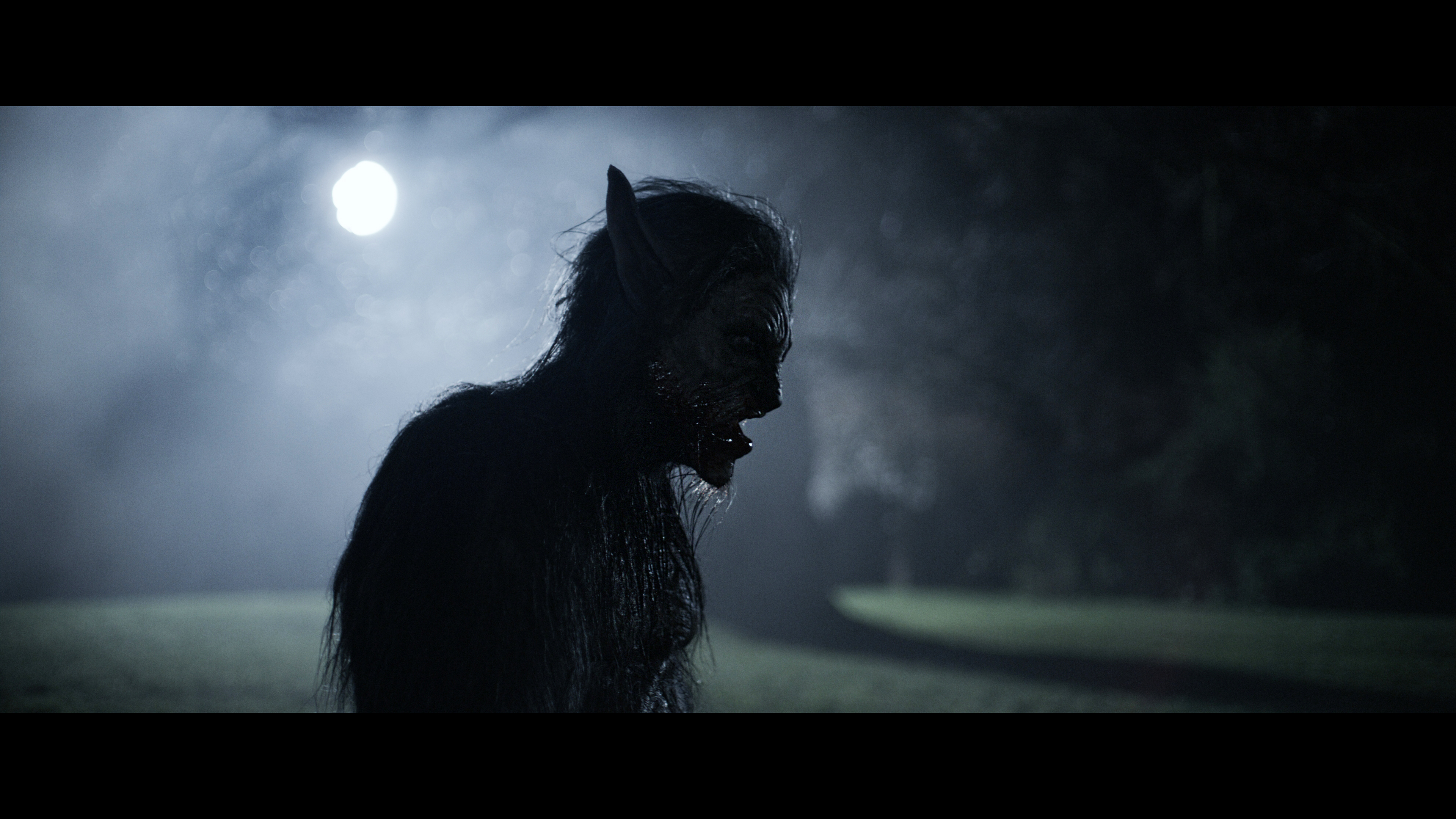 Wolf Manor review – Bloody Flicks