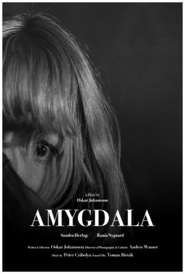 Amygdala (Panic Fest 2024) review – Bloody Flicks