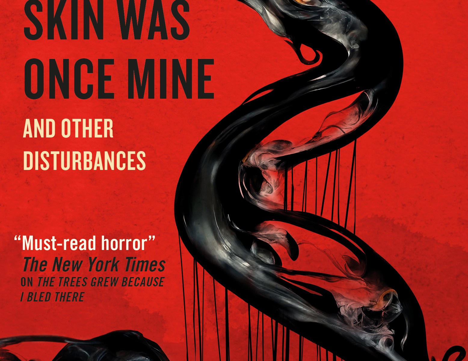 This Skin Was Once Mine and Other Disturbances by Eric LaRocca review ...