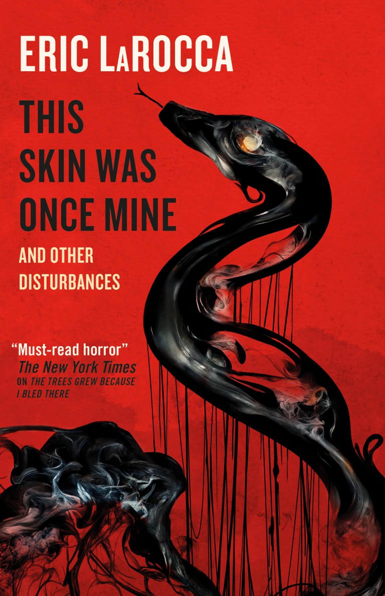 This Skin Was Once Mine and Other Disturbances by Eric LaRocca review ...