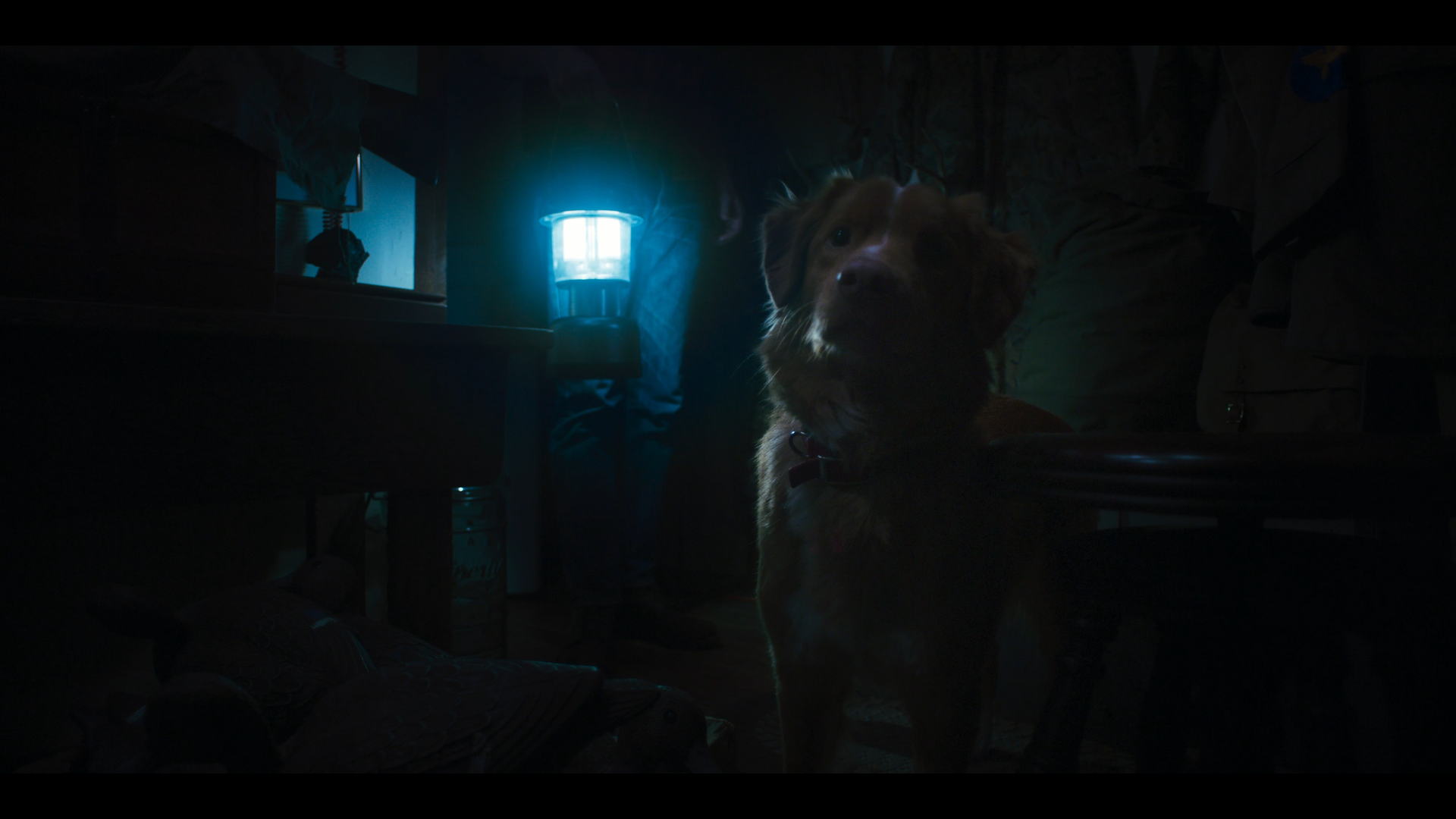 SXSW Hosts World Premiere of Good Boy – Bloody Flicks